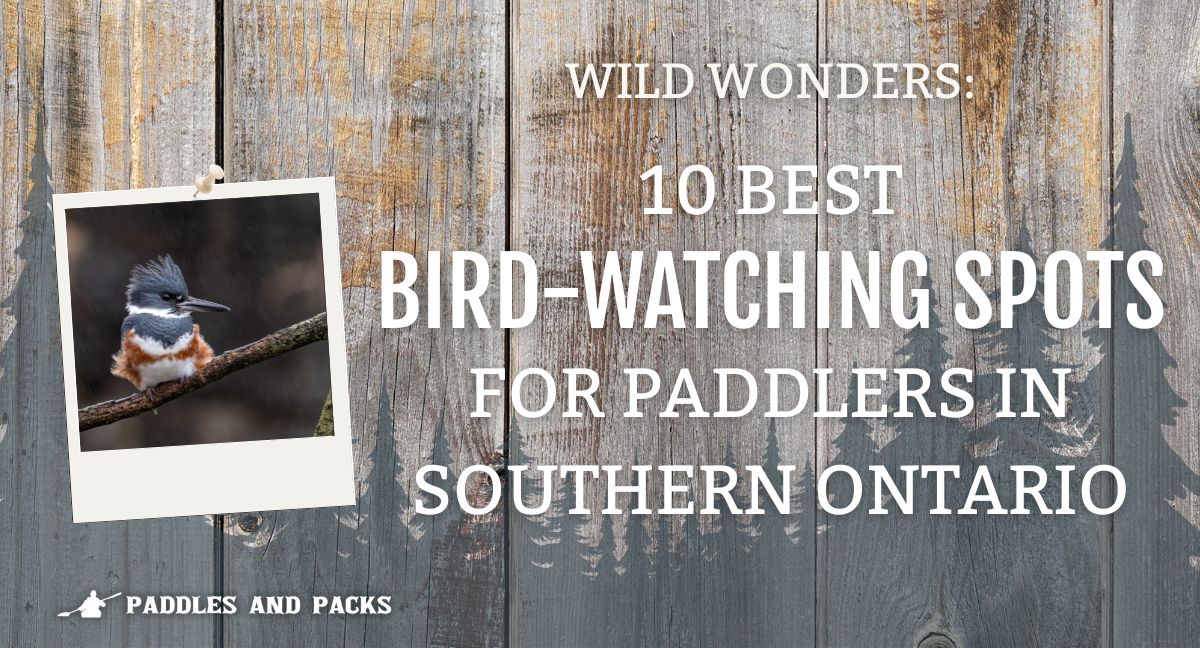 Wild Wonders: 10 Best Birdwatching Spots for Paddlers in Ontario ...