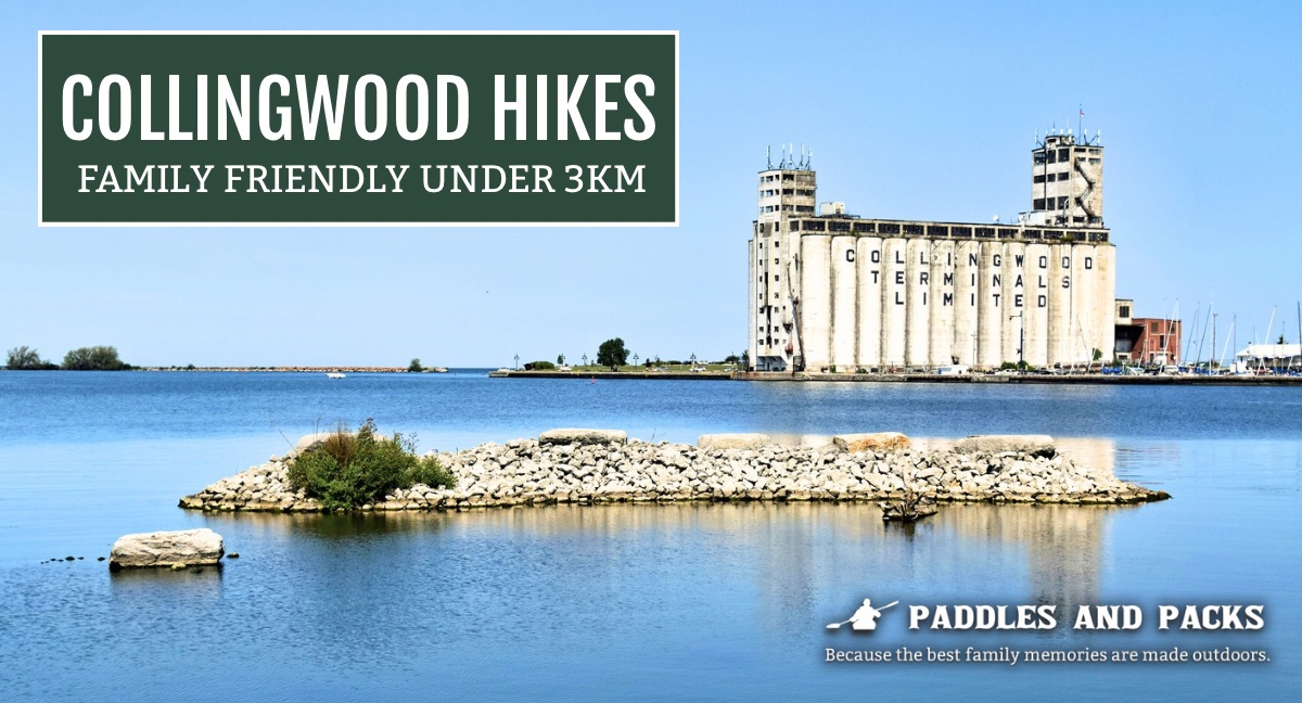 10 Scenic Collingwood Hikes Under 3km Your Family Will Love - Paddles ...