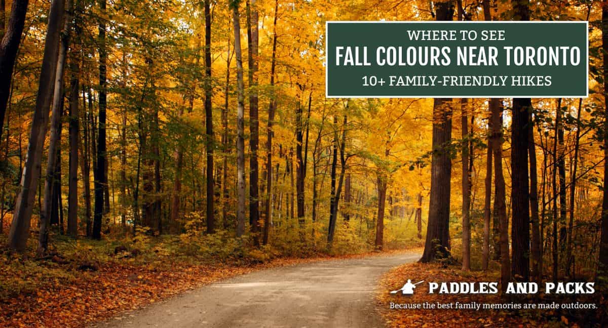 Where to See Fall Colours Near Toronto: 10+ Hikes Families Will Love ...